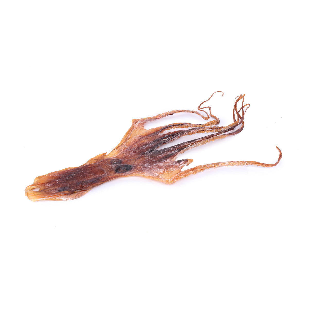 Dried Octopus (100g)