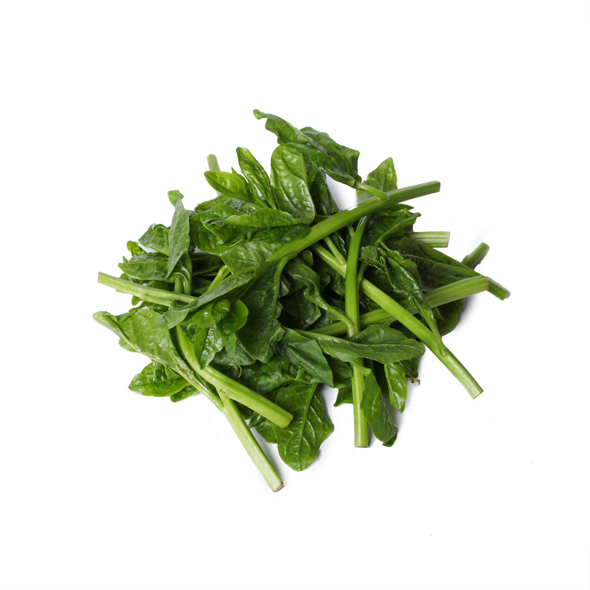 Emperor Sprouts / Di Huang Miao - Market Fresh Singapore