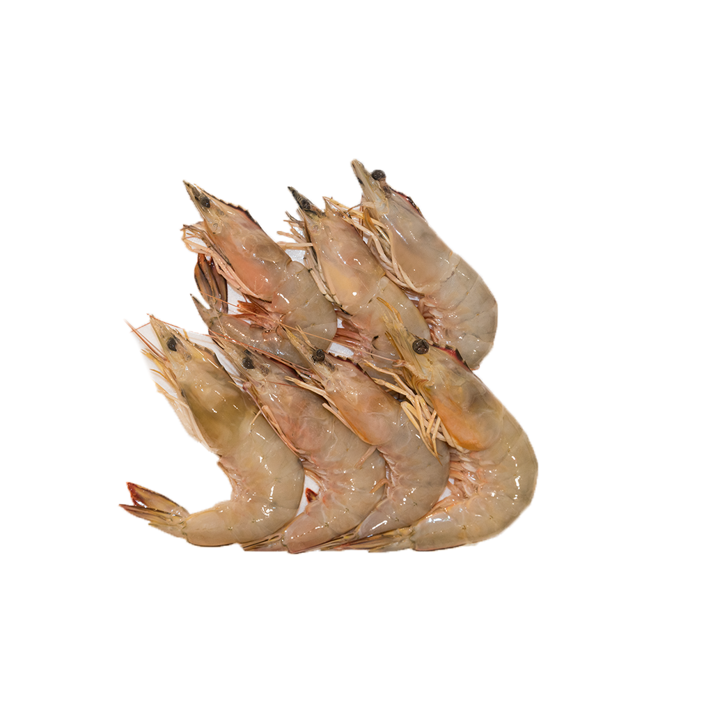 Big AngKa Prawns (500G)