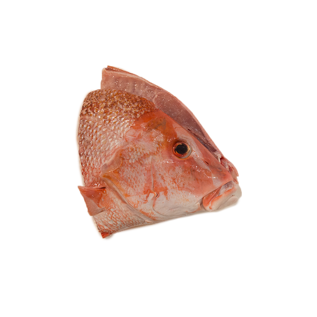 Red Emperor Fish Head